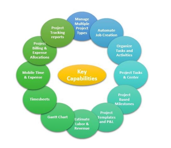 NetSuite Project Management Module