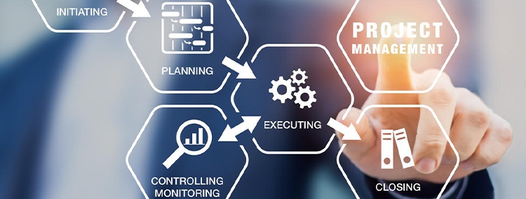 NetSuite Project Management Module